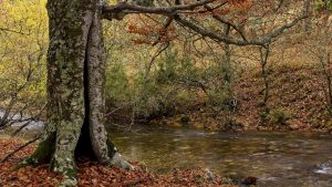 The Sierra de Madrid: villages and hiking trails