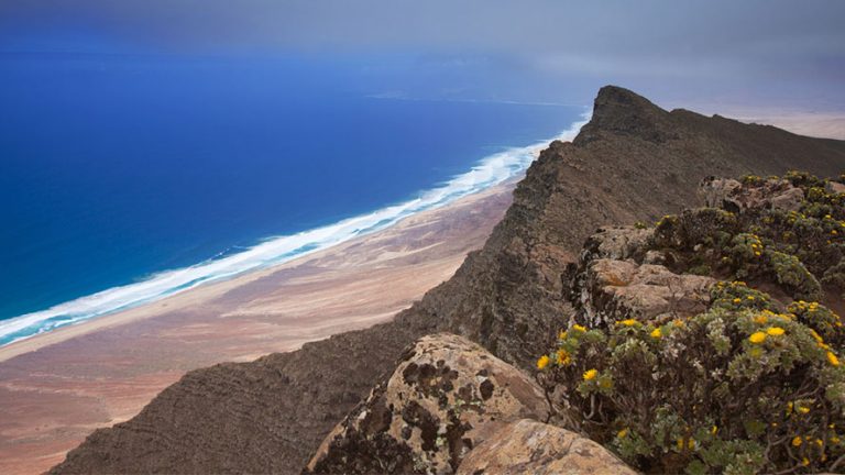 Pico de la Zarza: climb up to Fuerteventura’s highest point