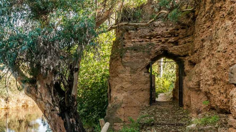 Visita al Castillo de Niebla, toda una lección de Historia