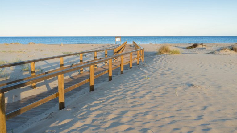 Qué ver en Elche, 7 visitas imprescindibles