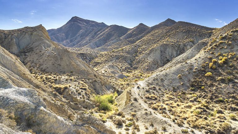 Discover Tabernas Desert, Europe’s only desert