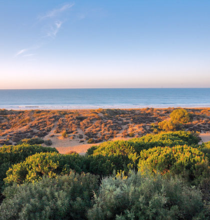 Huelva - Huelva tourism and travel guide - Barceló