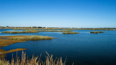 What to see in Isla Cristina – Barceló Experiences