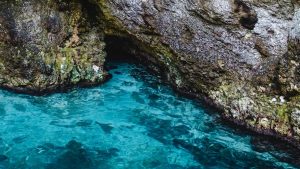 Hoyo Azul, el mágico cenote de Punta Cana - Barceló Experiences