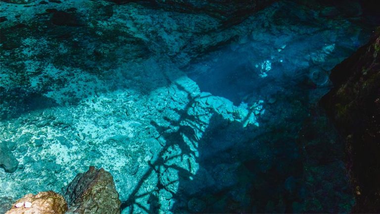 Hoyo Azul, el mágico cenote de Punta Cana - Barceló Experiences