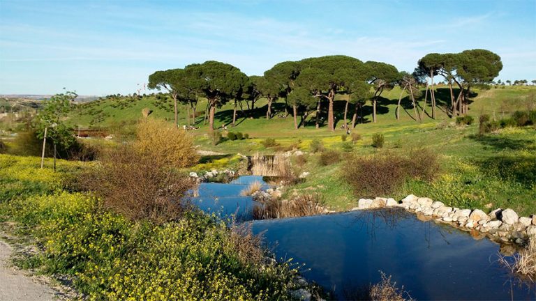 Parque Forestal de Valdebebas, naturaleza al norte de Madrid