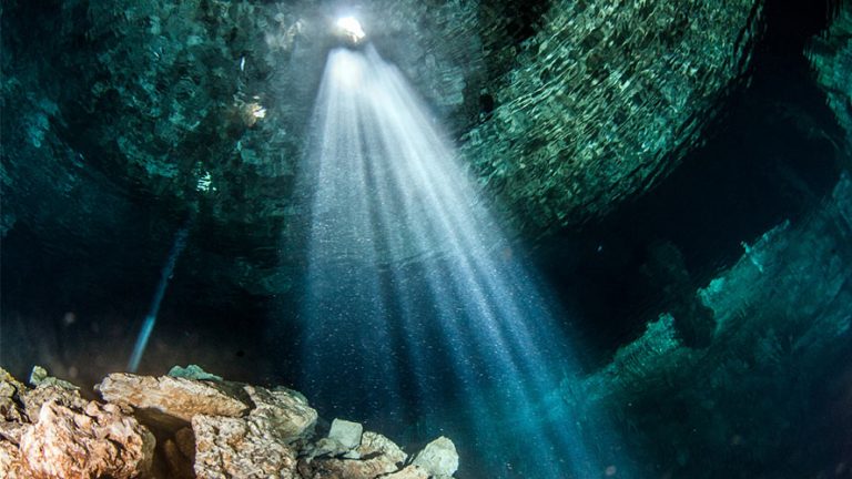 Cenotes: the veins and arteries of the earth in Riviera Maya