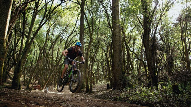 Xel-Há: nature and fun in an ancient Maya port - Barceló Experiences
