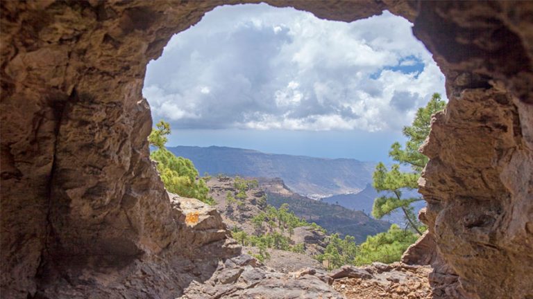 Inagua, los pinares mejor conservados de Canarias