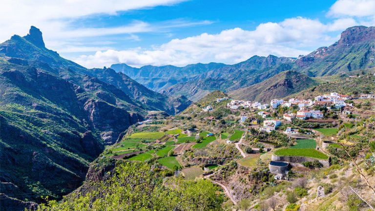 Inagua, los pinares mejor conservados de Canarias