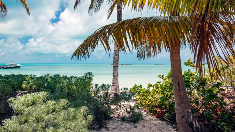 Isla Contoy, the island of birds - Barceló Experiences