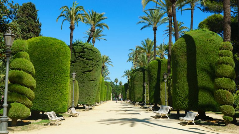 Parque Genovés. Conoce el gran pulmón verde de Cádiz