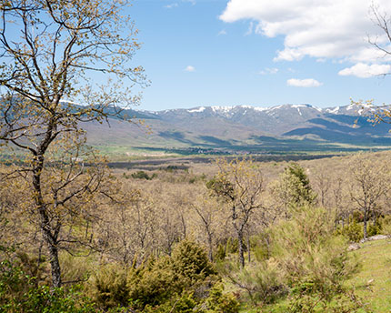 Rascafría, un pueblo pequeño con un gran monasterio