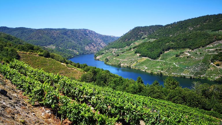 Los cañones del Sil: qué ver y hacer en la Ribeira Sacra - Barceló ...