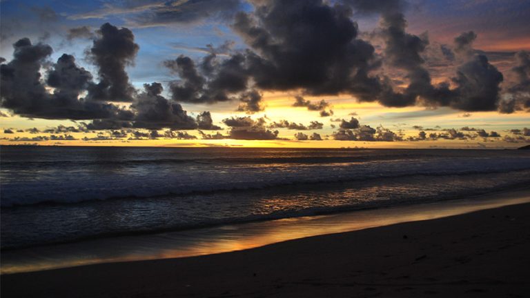 Sukamade Beach: Indonesia’s turtle sanctuary % - Barceló Experiences