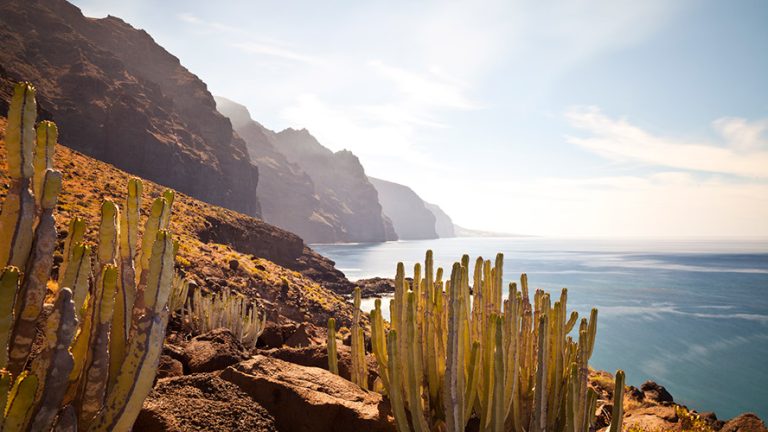 Tenerife’s most beautiful landscapes - Barceló Experiences