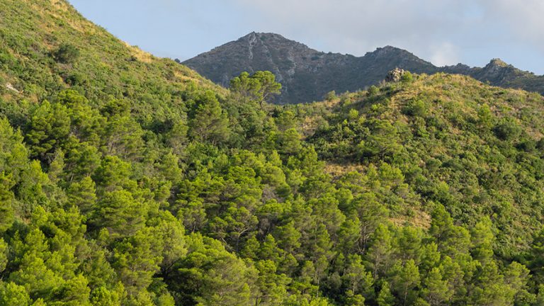 Qué ver en Ojén, pueblo blanco y cuna del aguardiente de Málaga