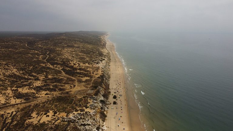Playa de Cuesta Maneli, un arenal salvaje en Doñana