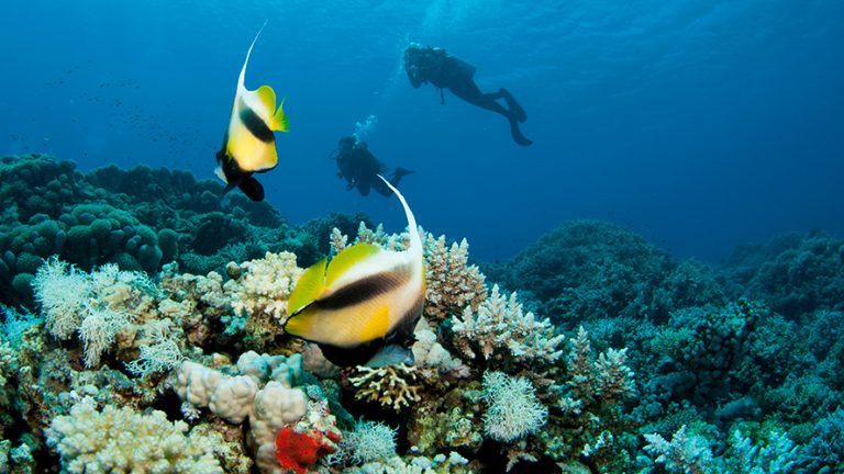 Dahab, the Red Sea’s most bohemian holiday destination - Barceló ...