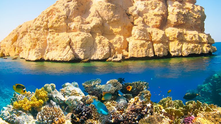 Ras Mohamed Nature Reserve: an ecological sanctuary between the desert ...