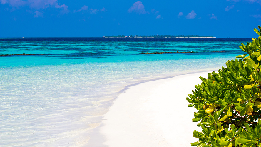 Thoddoo, las Maldivas más ‘low cost’