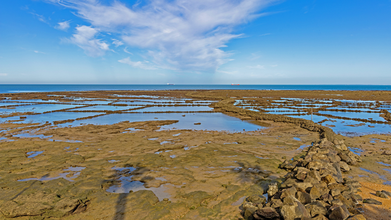 Corrales de pesca de Chipiona - Barceló Experiences