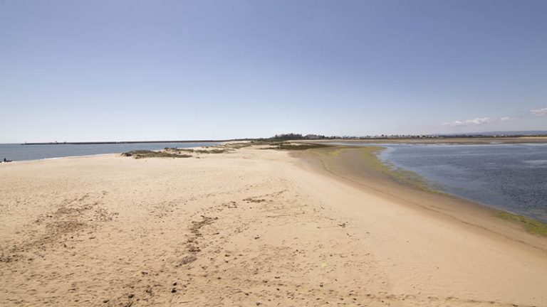 Qué ver y hacer en Isla Cristina – Barceló Experiences